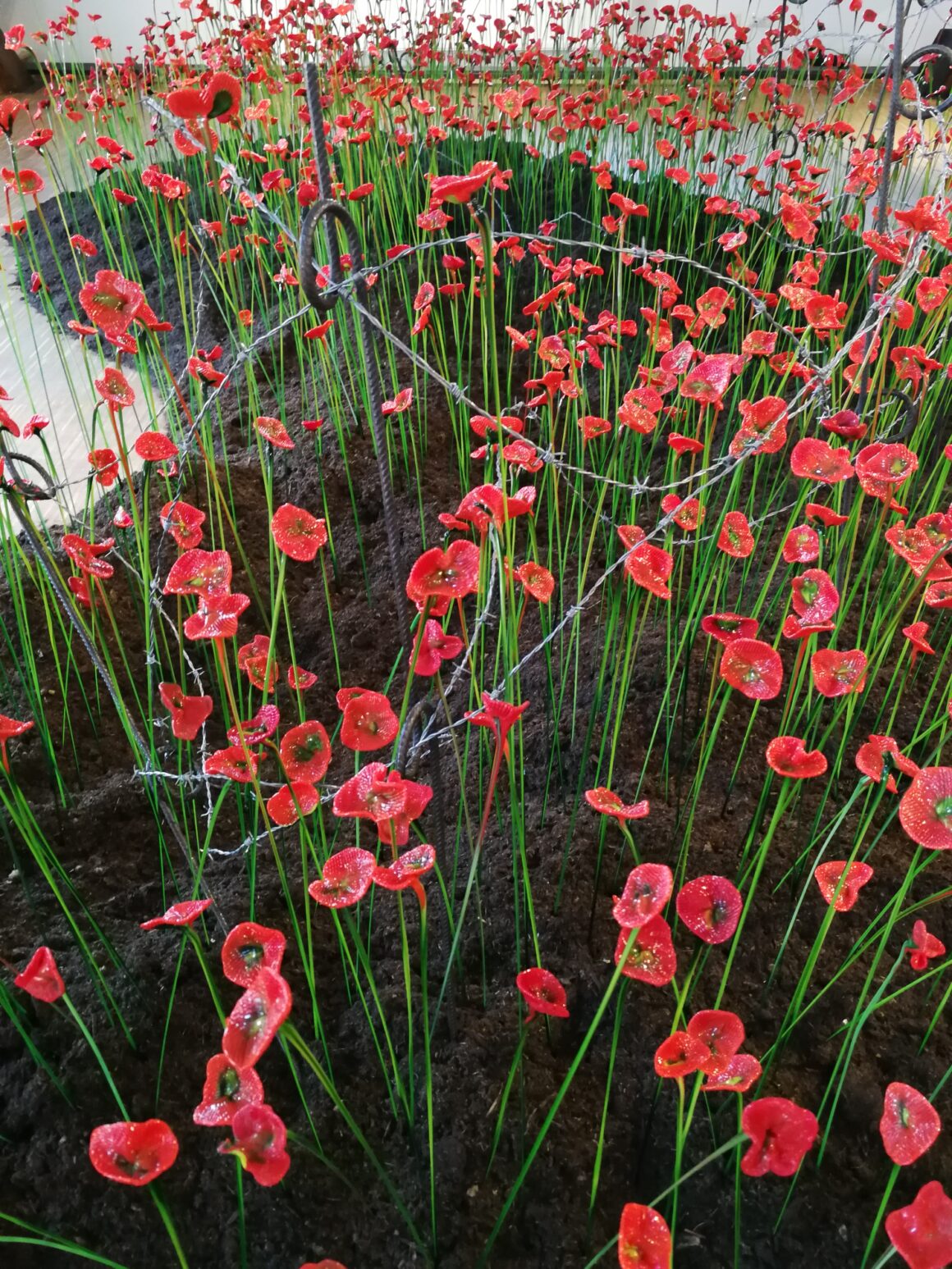 Edition 2023 - International Biennale of Glass